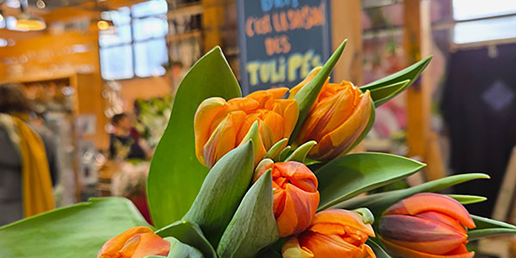 Fleuriste Montréal - Binette et Filles. Livraison le jour même